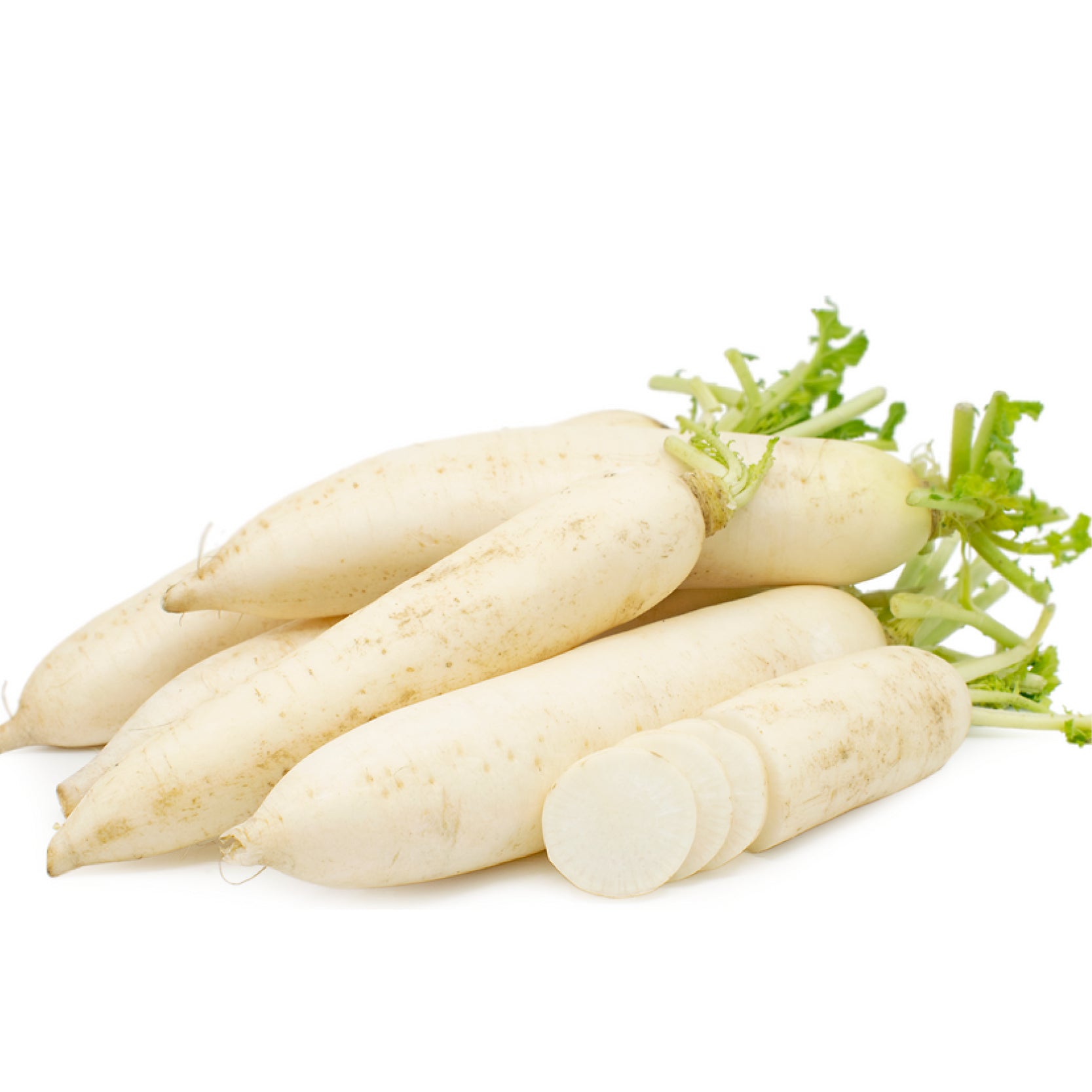 Radish – Tagged "Hybrid Varieties"– Clifton Seed Company