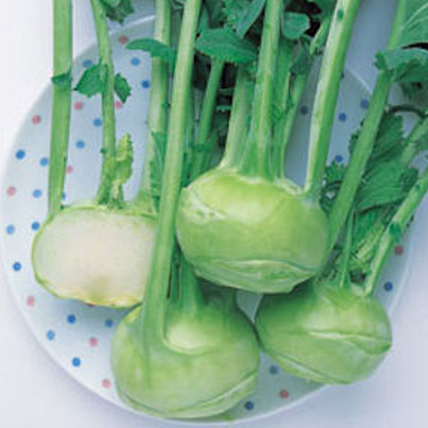 Winner – Clifton Seed Company